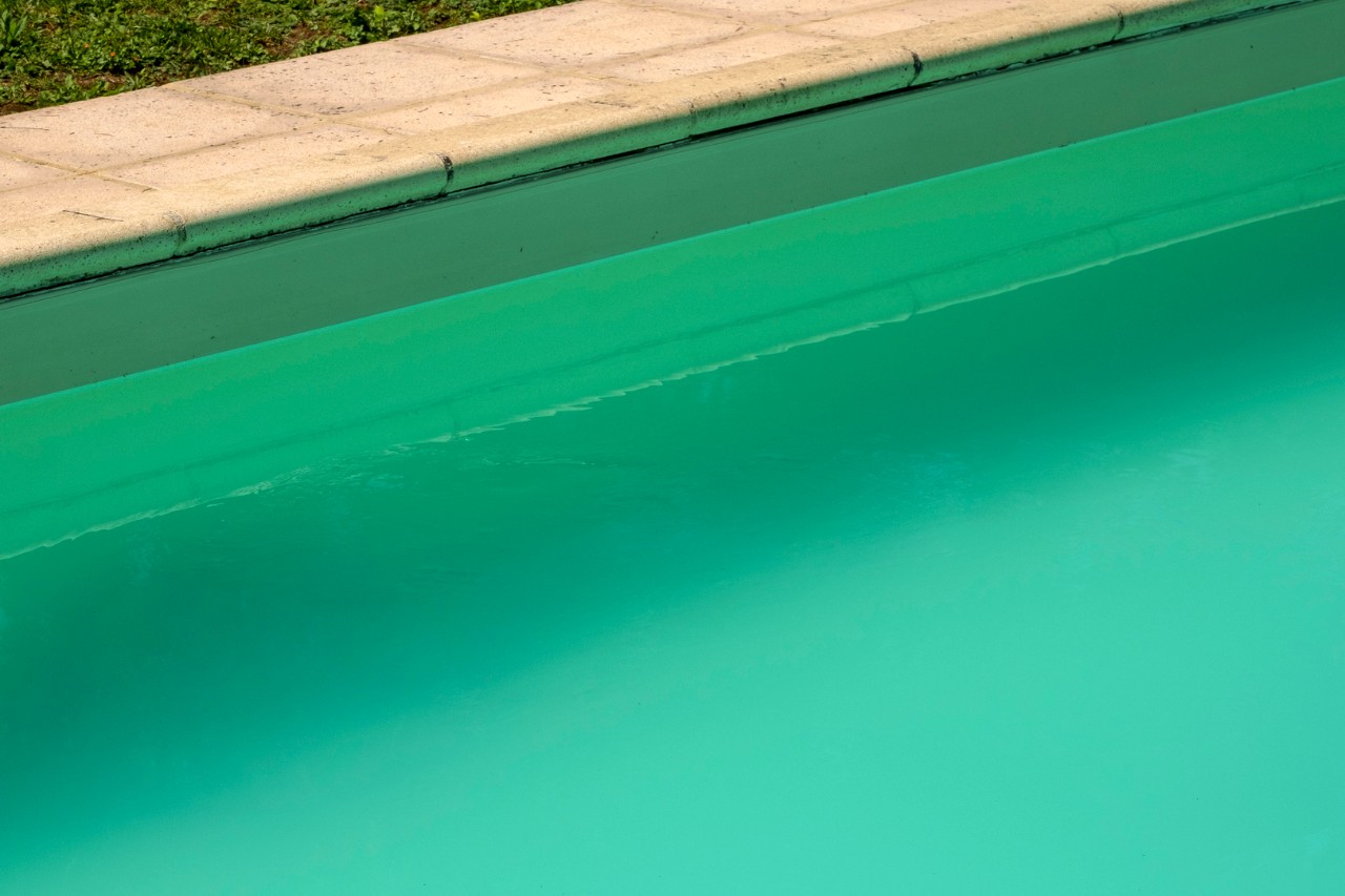 ¿Por qué se pone verde el agua de la piscina ? | Zodiac Poolcare